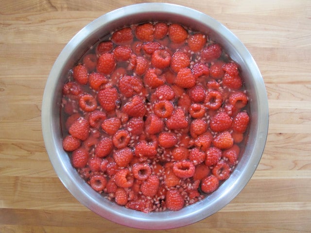 Anne of Green Gables Raspberry Cordial - Literary Recipe