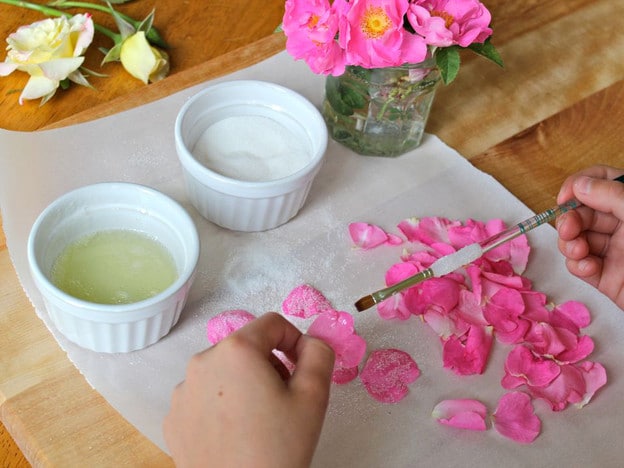 Timeless Delight: Sugared Rose Petals & Rose Sugar by Tori Avey